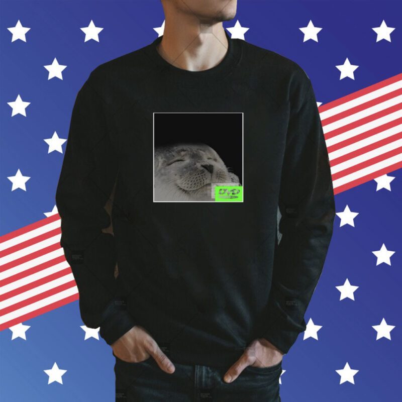 Bouncing Dvd Hits Corner Idle Screen Meme T-Shirt